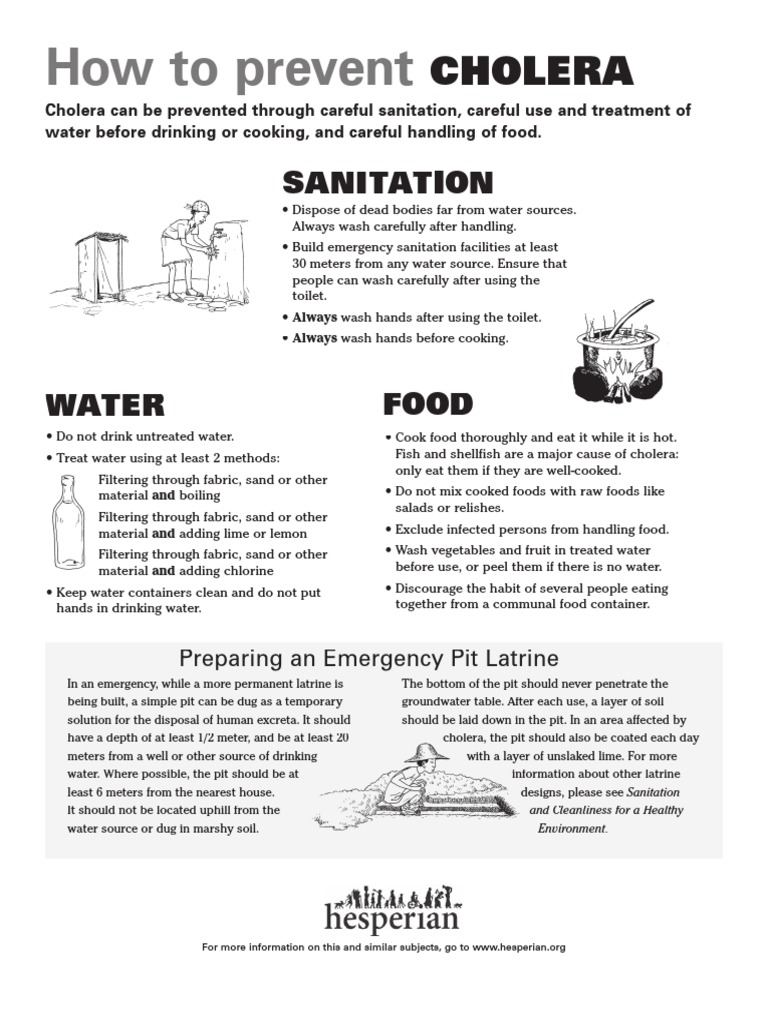 Cholera Prevention Fact Sheet PDF | PDF | Cholera | Diarrhea