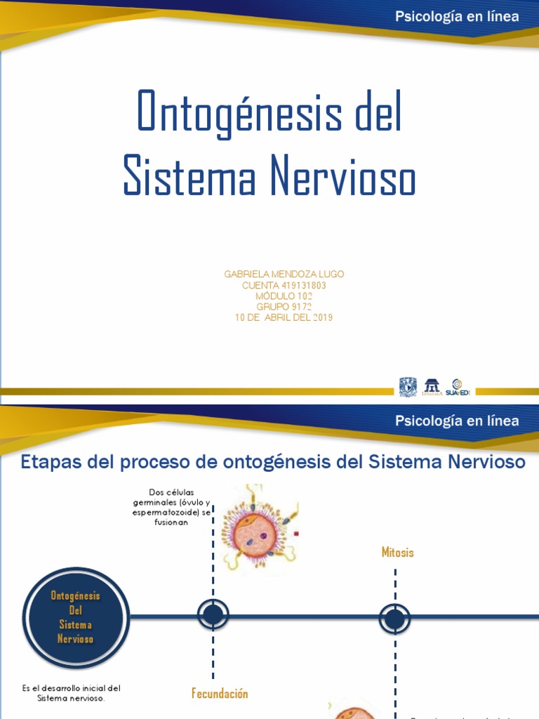 Ontogénesis Del Sistema Nervioso | PDF | Zoología | Reproducción
