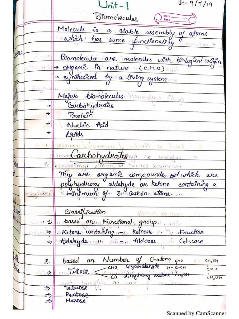 Biochemistry Notes | PDF