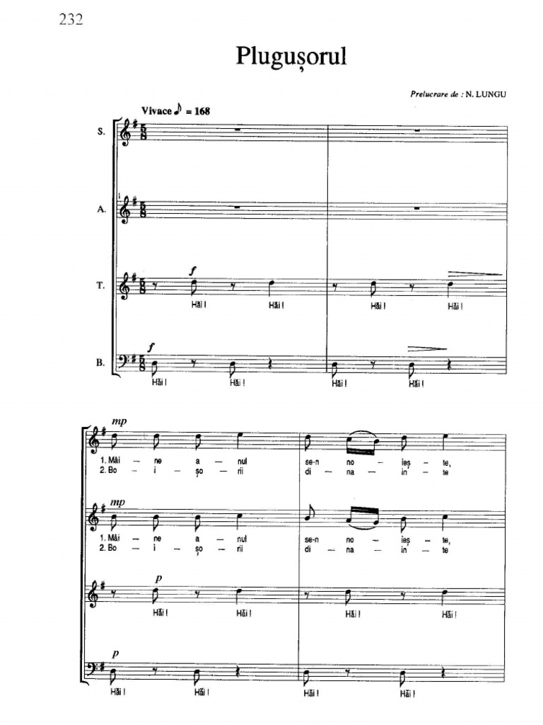 PLUGUSOR - Nicolae Lungu | PDF