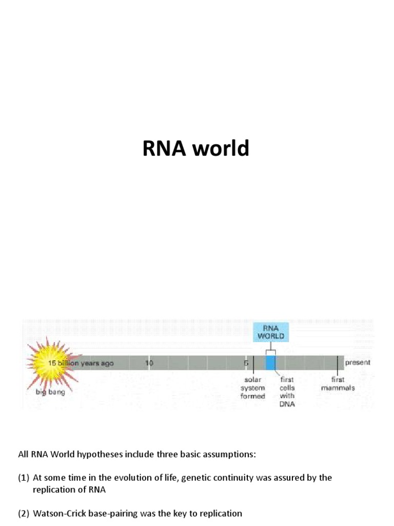 RNA World Hypothesis Overview | PDF