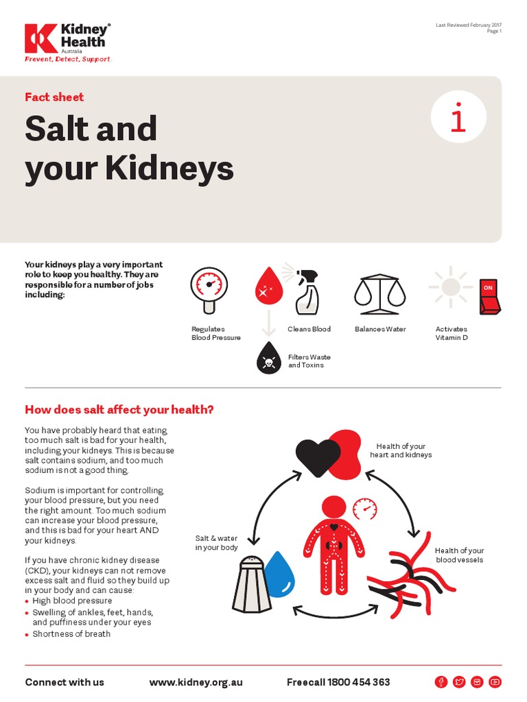 Salt and Your Kidneys: Fact Sheet | PDF | Salt | Convenience Food