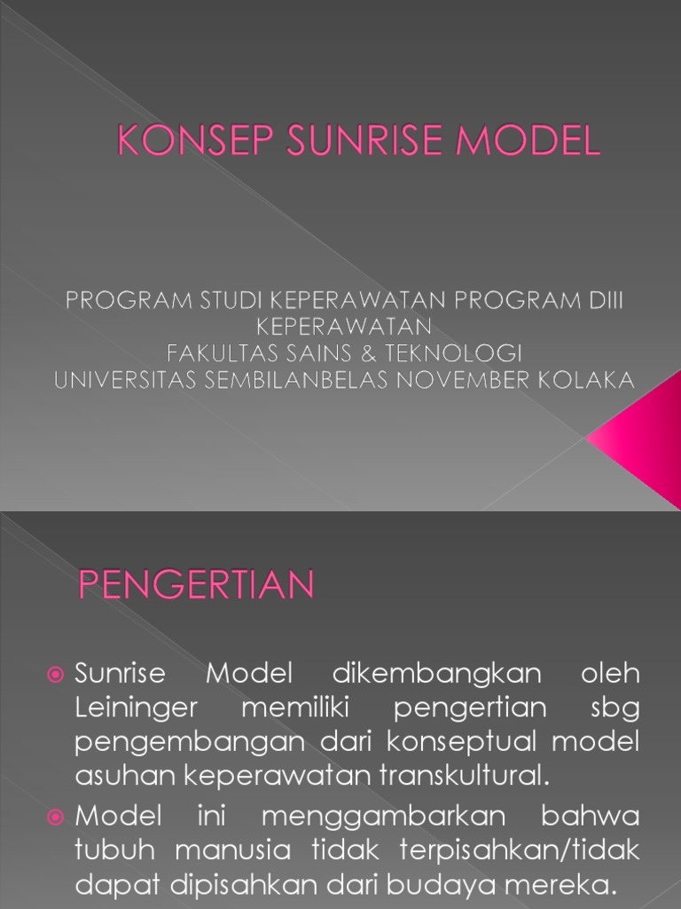 Komponen Model Sunrise Leininger | PDF | Pengembangan Diri