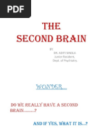 Zombie Menu Brain Project PDF | PDF | Central Nervous System | Nervous ...