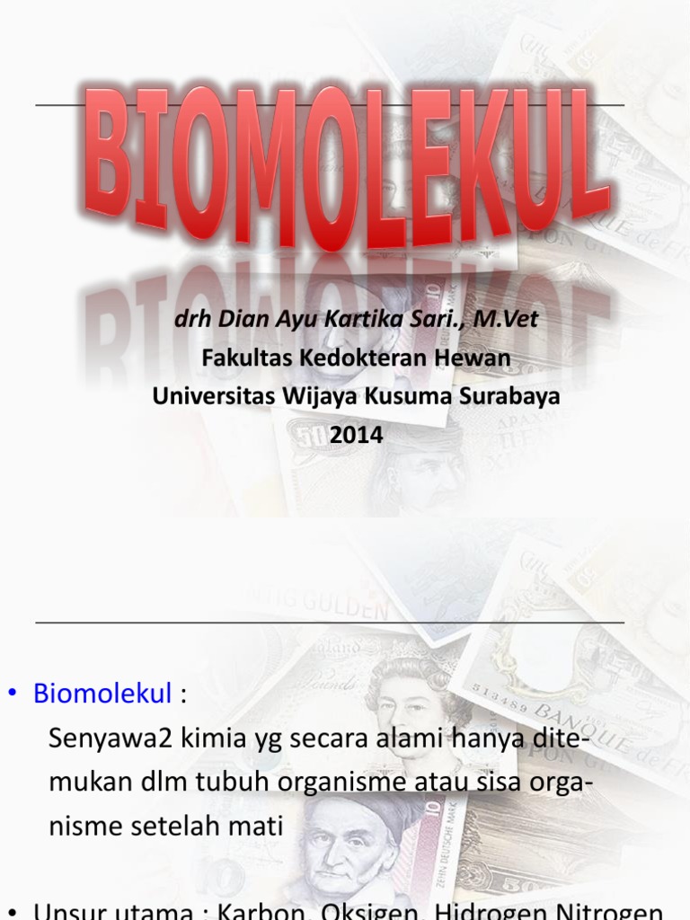 2 Biomolekul | PDF