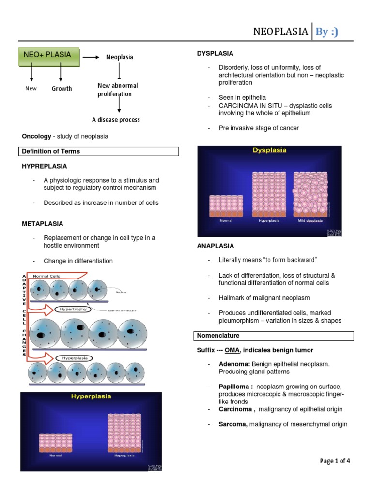 Understanding Neoplasia and Cancer Terminology | PDF | Neoplasms ...