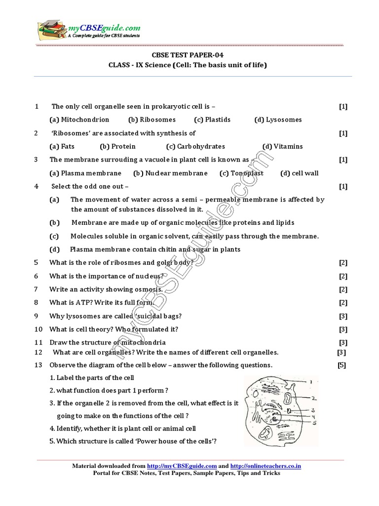 Cbse Test Paper-04 CLASS - IX Science (Cell: The Basis Unit of Life ...