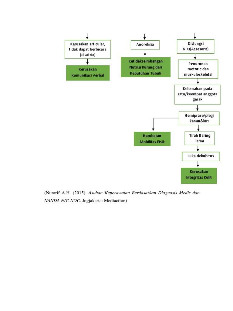 Skema Patofisiologi Stroke Non Hemoragik | PDF