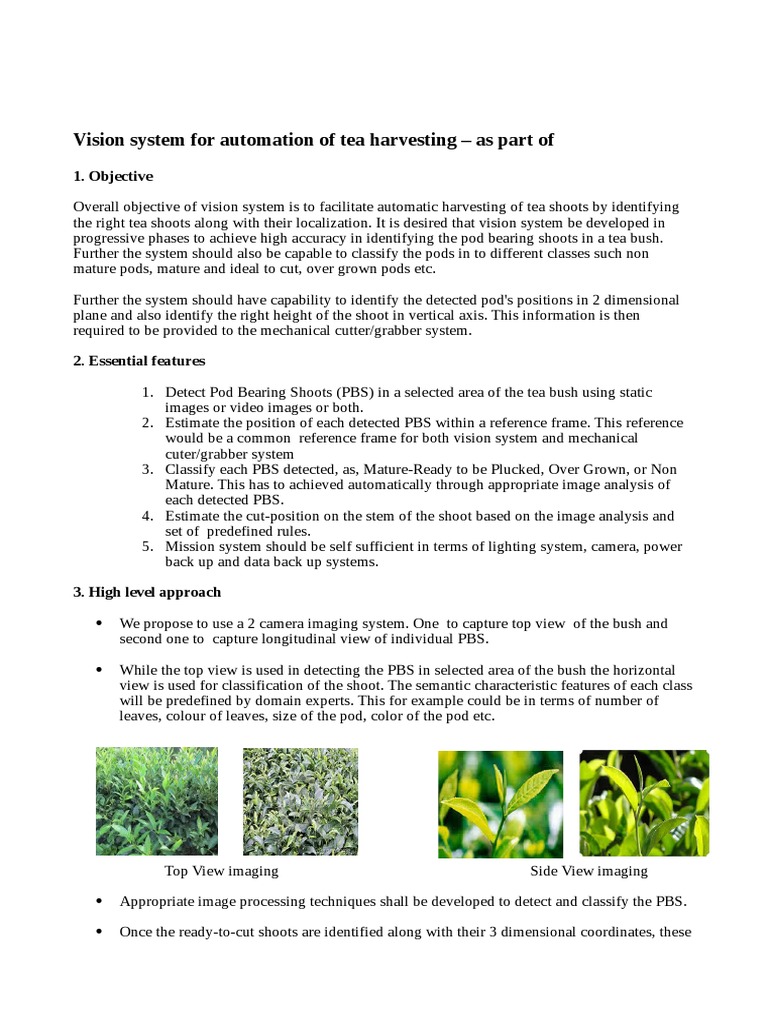 Vision Based System | PDF | Computer Vision | Software Development