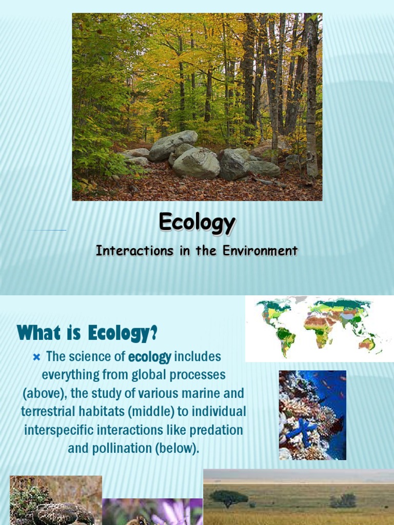 Understanding Ecological Interactions: A Comprehensive Look at the ...