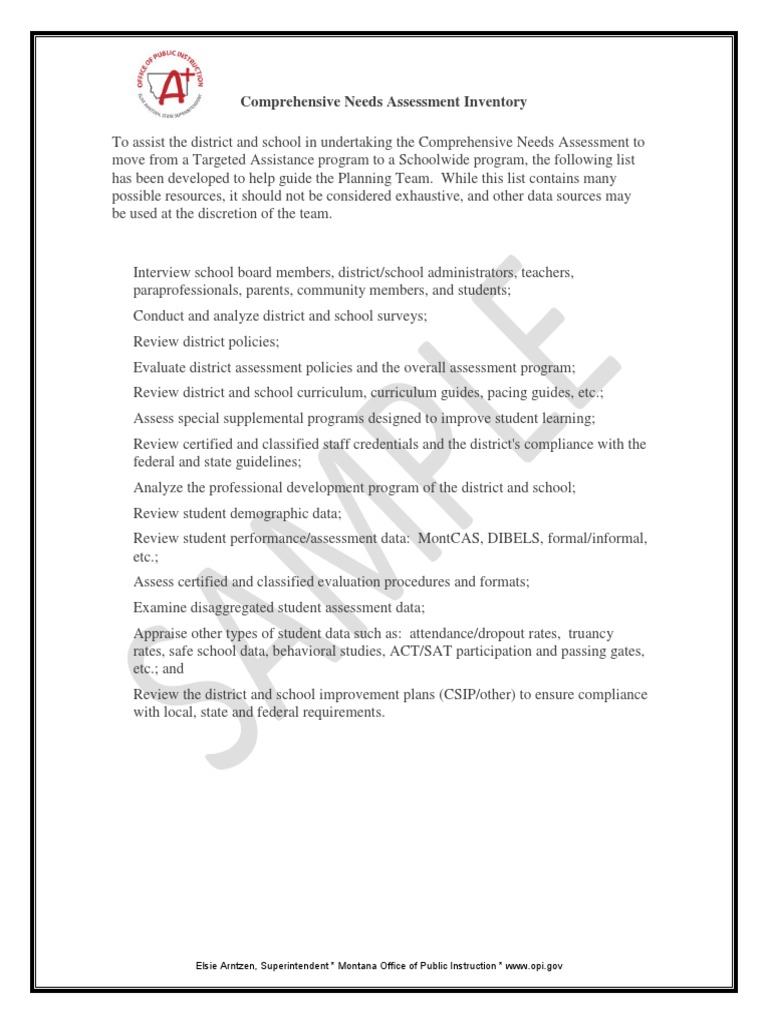 Comprehensive Needs Assessment Inventory | PDF