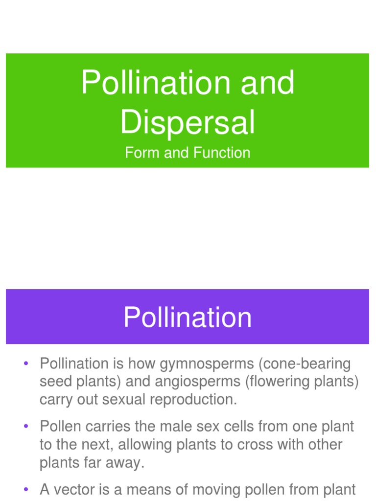 Pollination and Seed Dispersal Methods | PDF | Flowers | Pollination