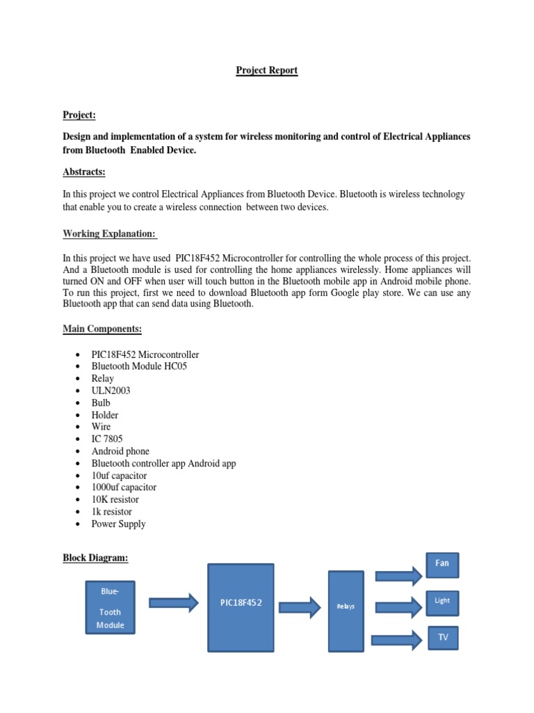 Project Report: Working Explanation | PDF