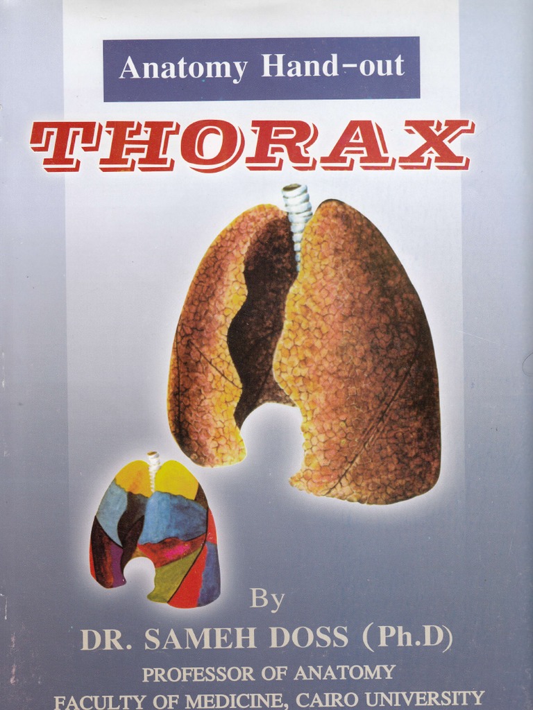 Thoraxx Study Hard | PDF | Vertebra | Vertebral Column