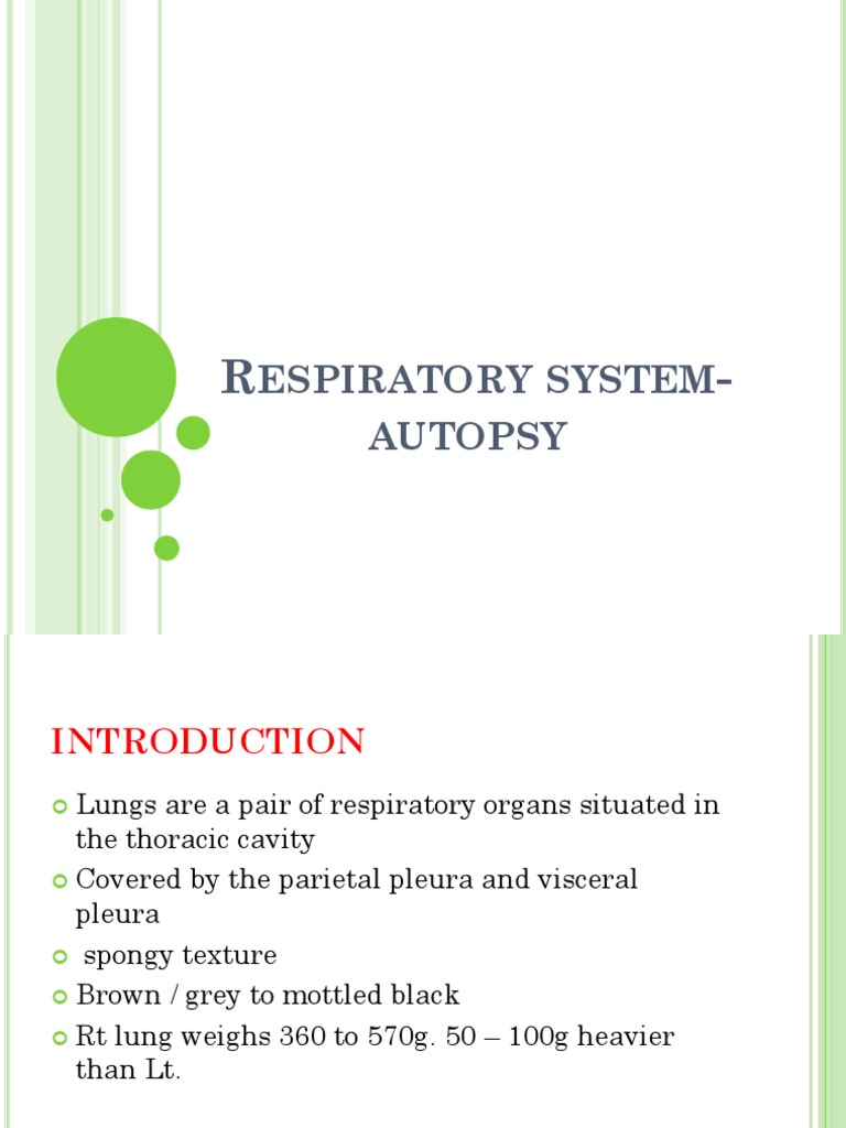 Espiratory System Autopsy | PDF | Lung | Thorax (Human Anatomy)