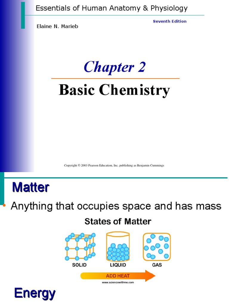 Chapter 2 Basic Chemistry | PDF | Rna | Nucleotides