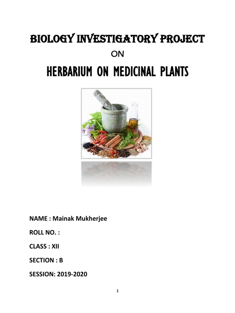 Herbarium of Medicinal Plants: A Collection and Study of 16 Important ...