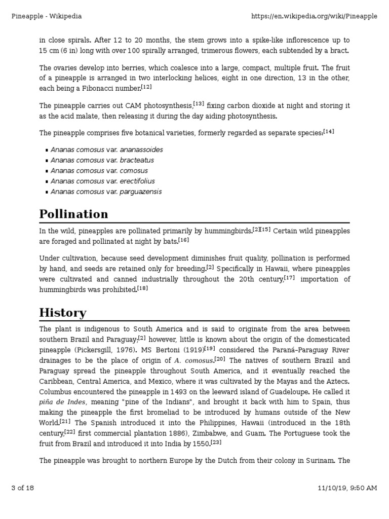 Pollination: Pineapple - Wikipedia | PDF | Pineapple | Plants