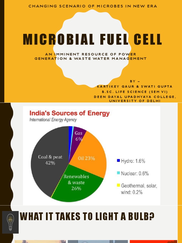 Microbial Fuel Cell: Changing Scenario of Microbes in New Era | PDF ...