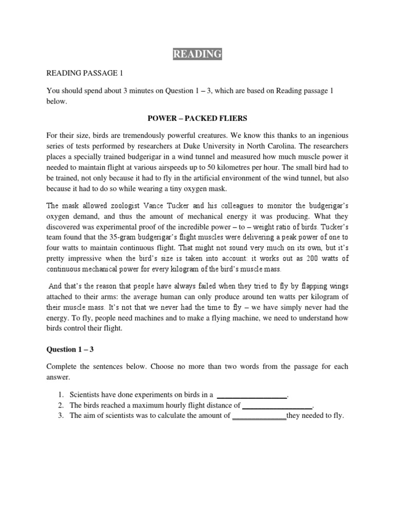 Reading: Power - Packed Fliers | PDF