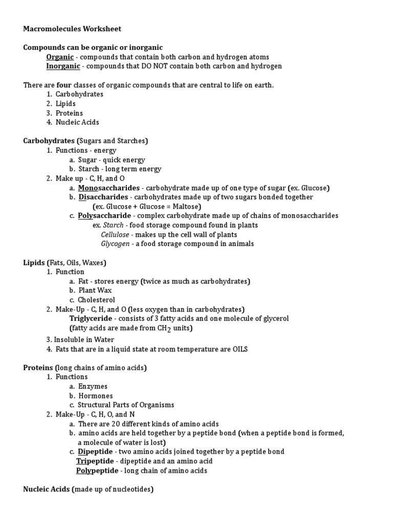 Macromolecules Worksheet | Download Free PDF | Carbohydrates | Lipid