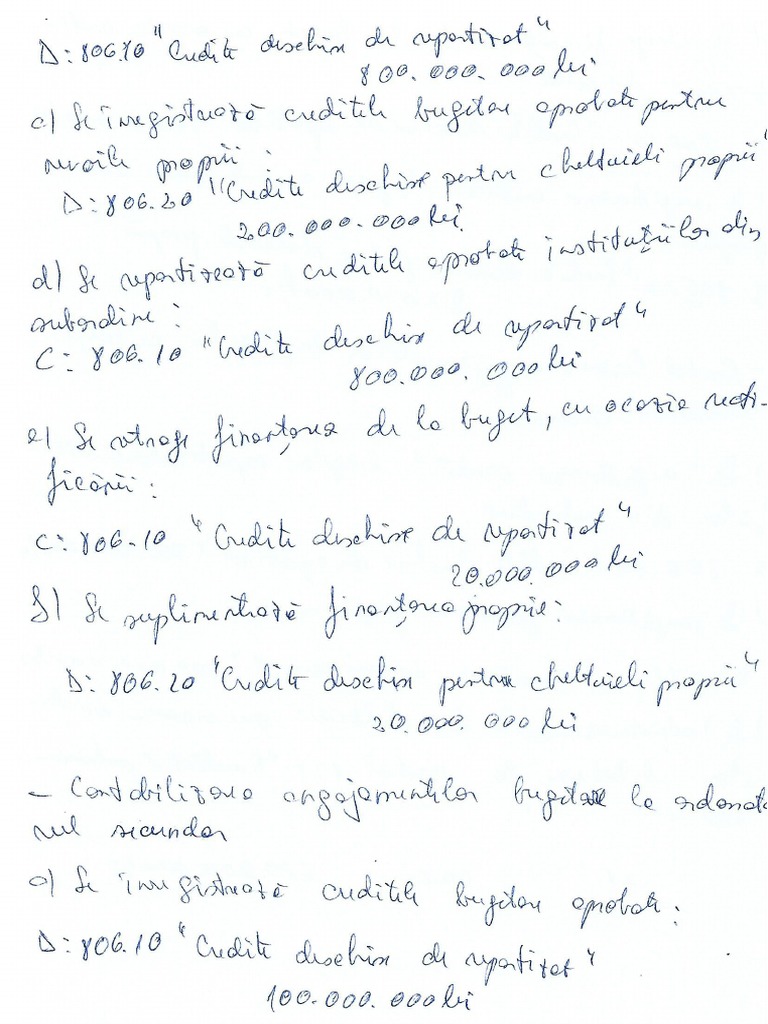 Probleme Rezolvate Contabilitate Publica 4 | PDF