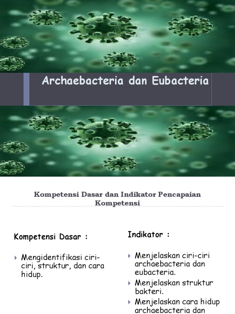 Archaebacteria Dan Eubacteria | PDF