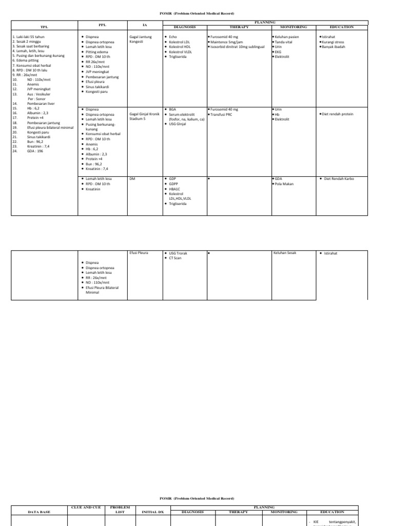 POMR (Problem Oriented Medical Record) Planning Diagnosis Therapy ...