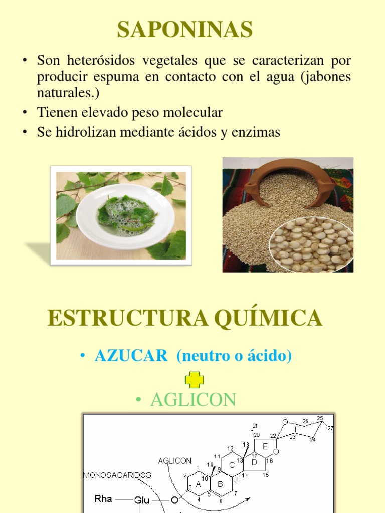 S 8 Saponinas | PDF | Naturaleza