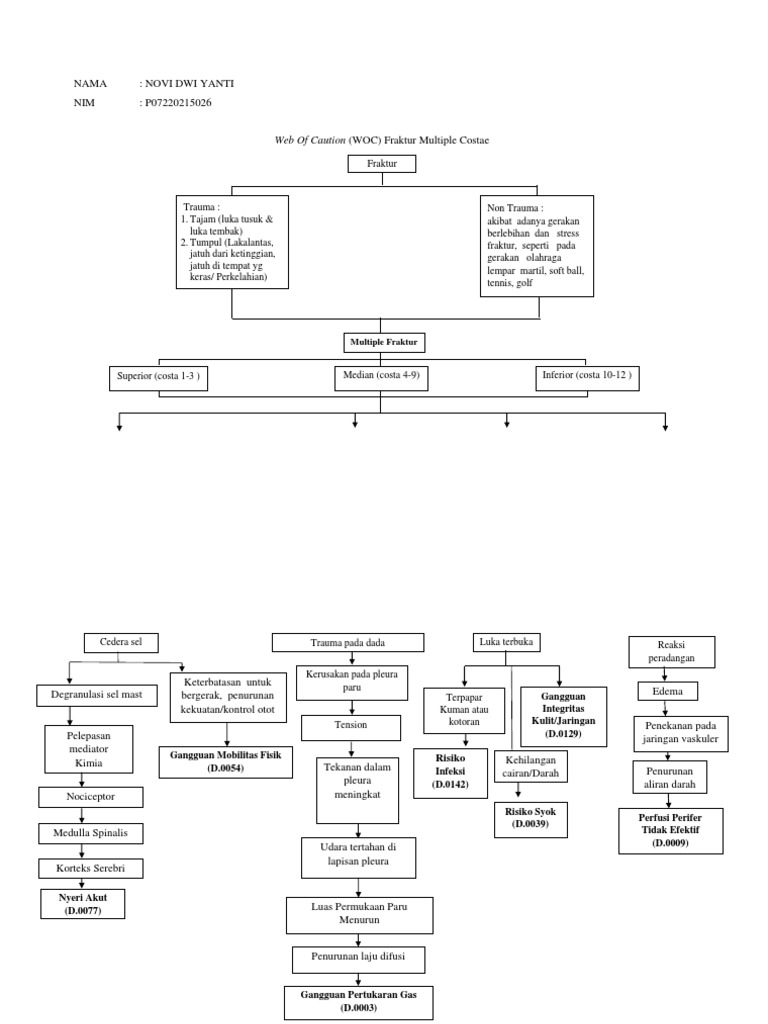 WOC Fraktur Multiple Costae | PDF