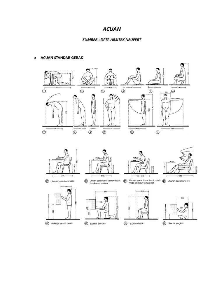 Standar Ruang Kantor Neufert | PDF | Kajian Bahasa Asing
