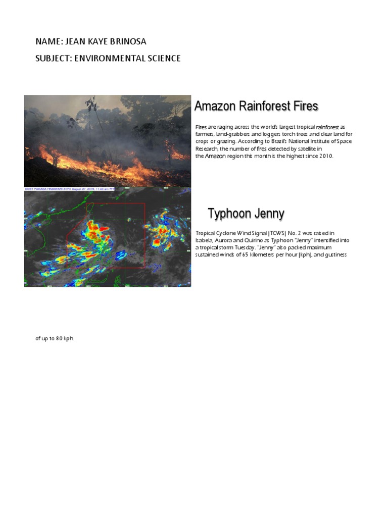 Amazon Rainforest Fires: Name: Jean Kaye Brinosa Subject: Environmental ...