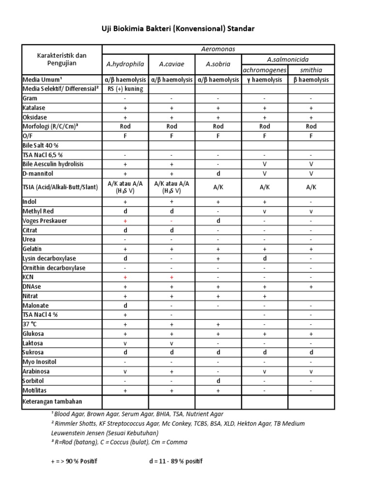 Uji Biokimia Bakteri (Konvensional) Standar: Karakteristik Dan ...