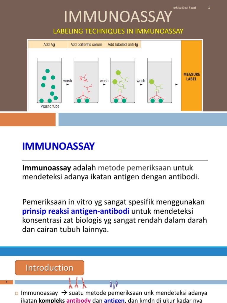 Label Immunoassay RINGK | PDF