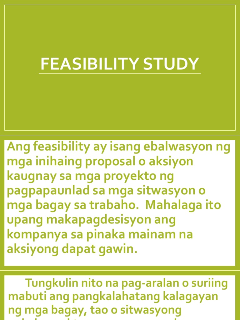 Feasibility Study | PDF