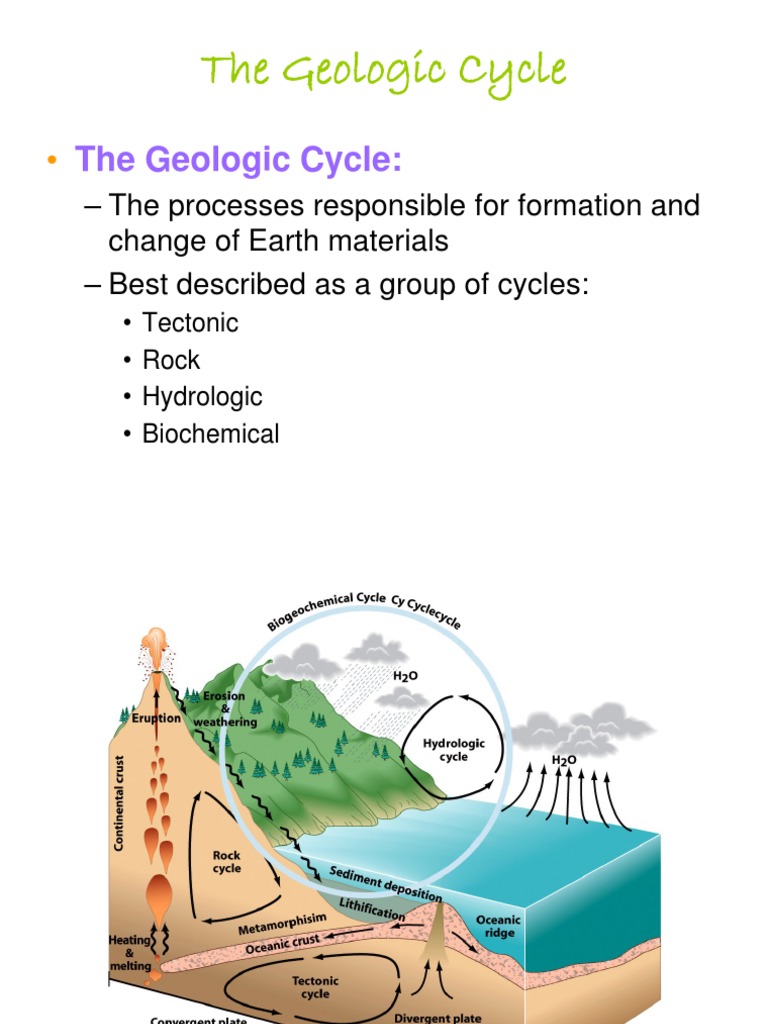 Biogeochemical Cycles | PDF | Carbon Cycle | Nature