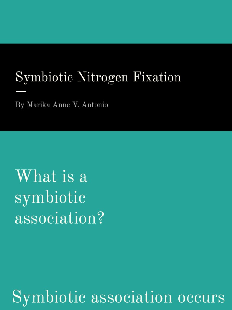 Symbiotic Nitrogen Fixation | PDF