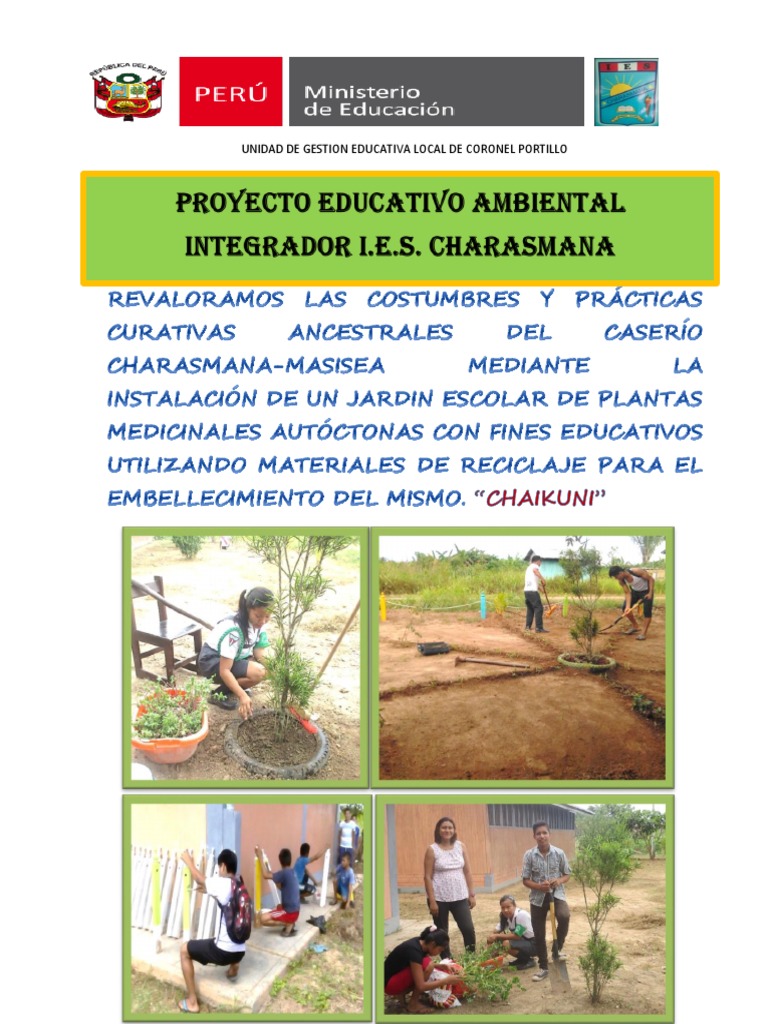 Proyecto Educativo Ambiental Integrador | PDF | Contaminación | Residuos