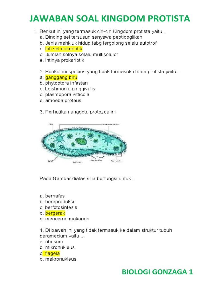 Soal Protista Ok PDF | PDF