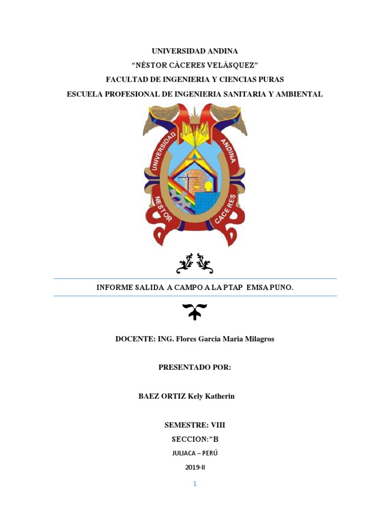 Informe Empsa Puno | PDF | Red de abastecimiento de agua | Agua y política