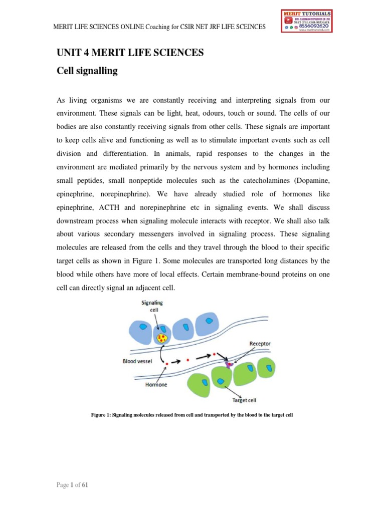 Cell Signalling Notes Merit Life Sciences1 | PDF | Signal Transduction ...