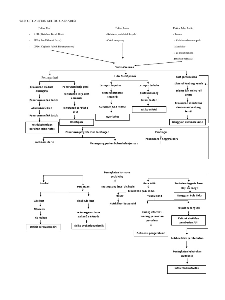Web of Caution Sectio Caesarea: Risiko Infeksi | PDF