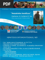 Metas de Aichi (DB 2011-2020) PDF | PDF | Biodiversidad | Ecosistema
