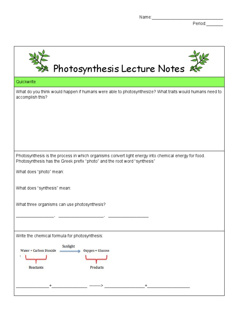 Photosynthesis Lecture Notes Overview | PDF | Photosynthesis | Chemical ...