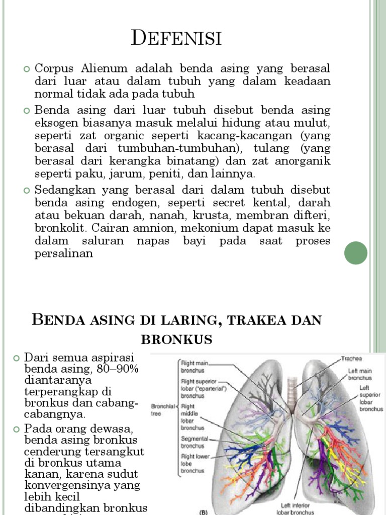 Corpus Alienum | PDF