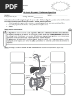 Sopa de Letras. Aparato Digestivo | PDF