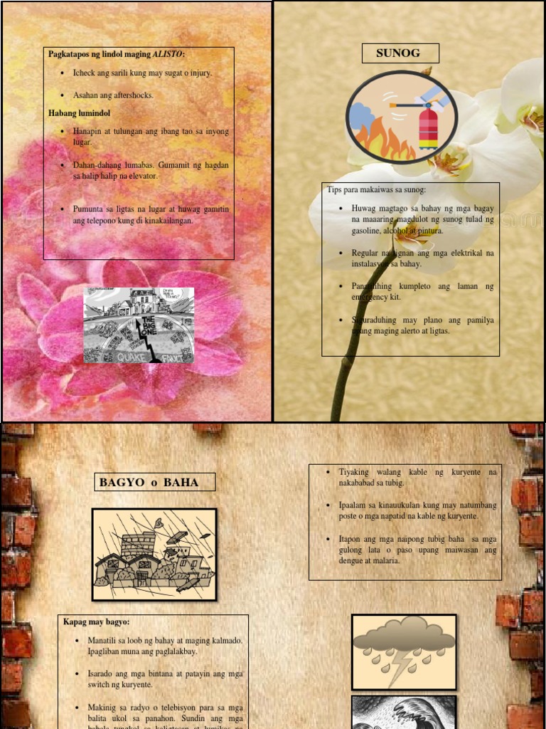 DRRR Brochure | PDF