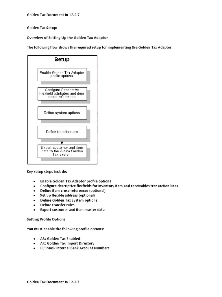 Golden Tax Setup - China | PDF | Invoice | Value Added Tax