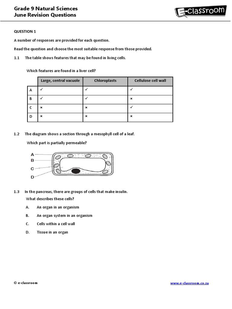 Grade 9 Natural Science Ls June Revision Questions 2015 Checked | PDF ...