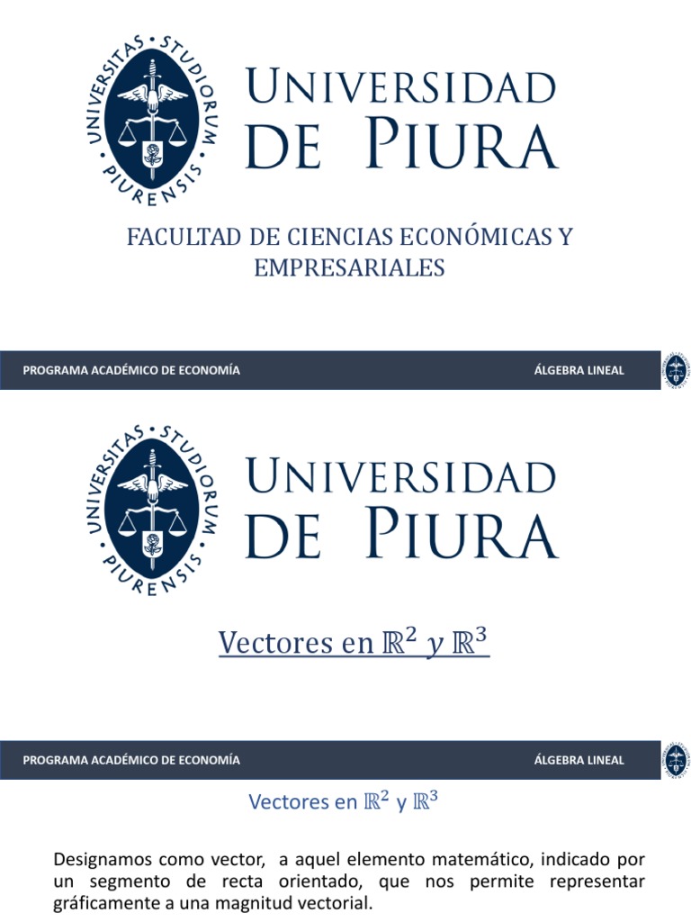 Introducción a los vectores en R2 y R3 | PDF | Espacio vectorial ...